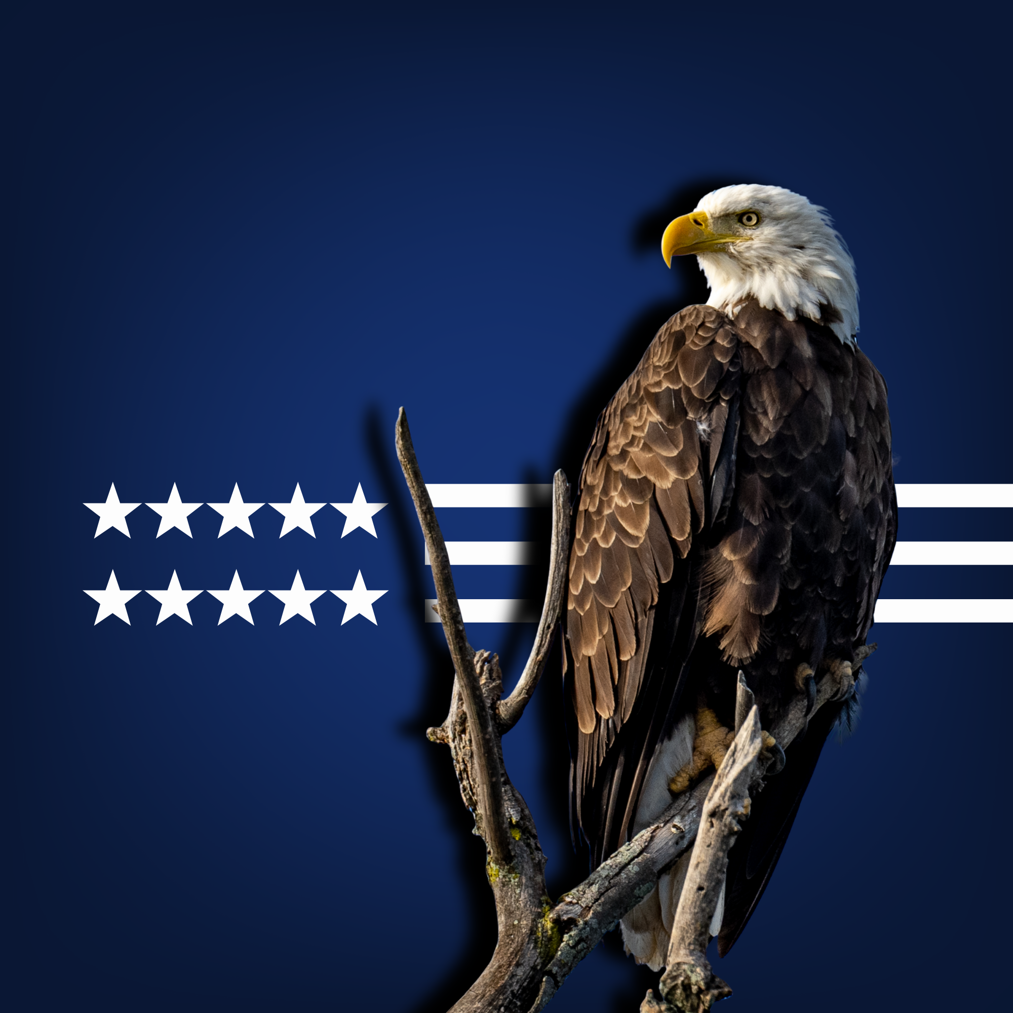 BeyondTrust & CISA Secure by Design | BeyondTrust | BeyondTrust